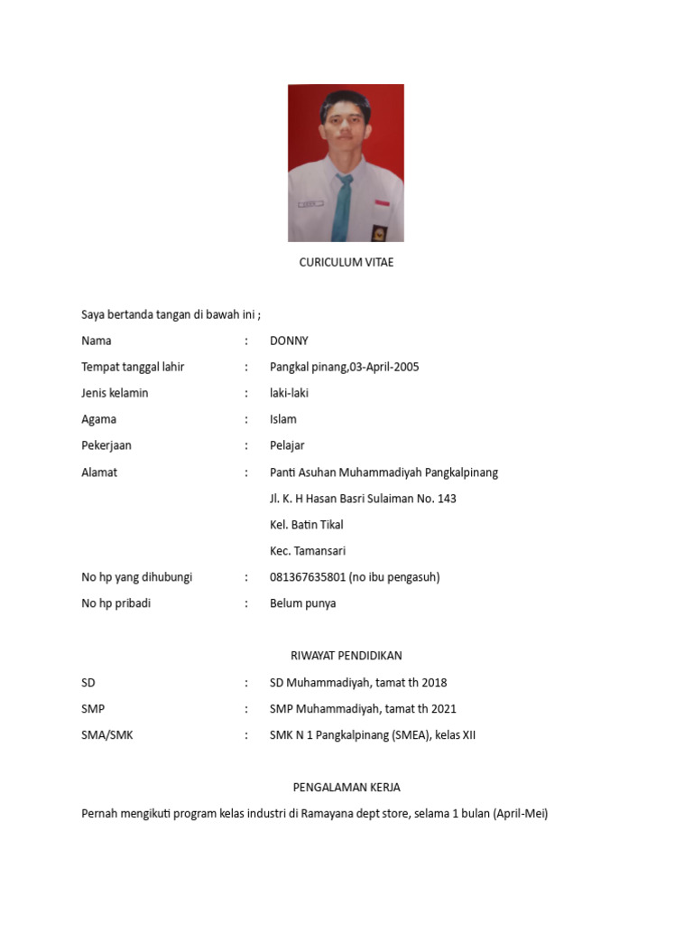 CURICULUM VITAE Doni 1 | PDF