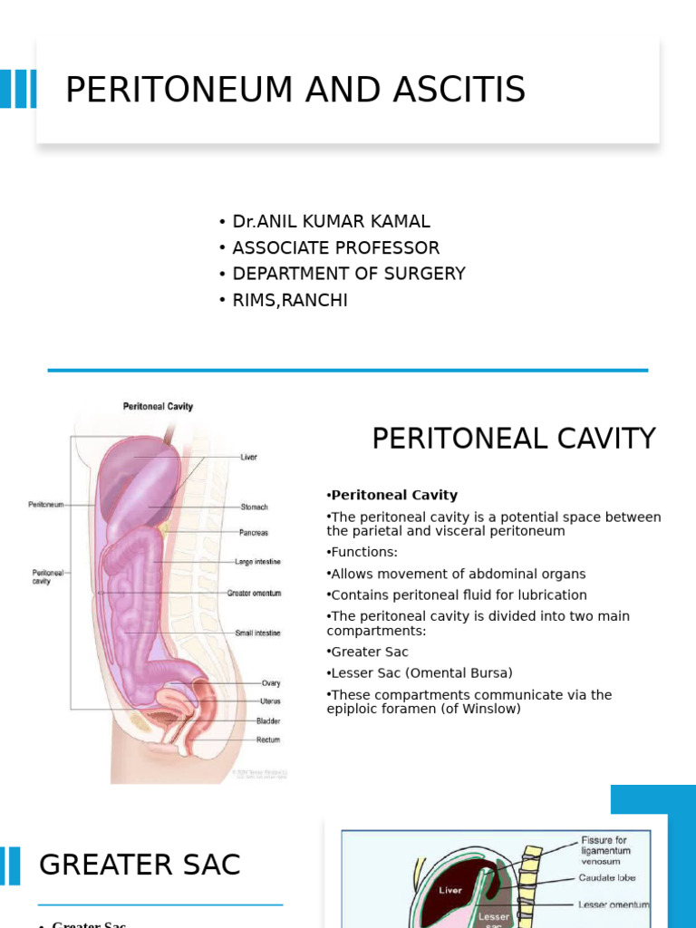 Peritoneum and Ascitis: DR - Anil Kumar Kamal Associate Professor ...