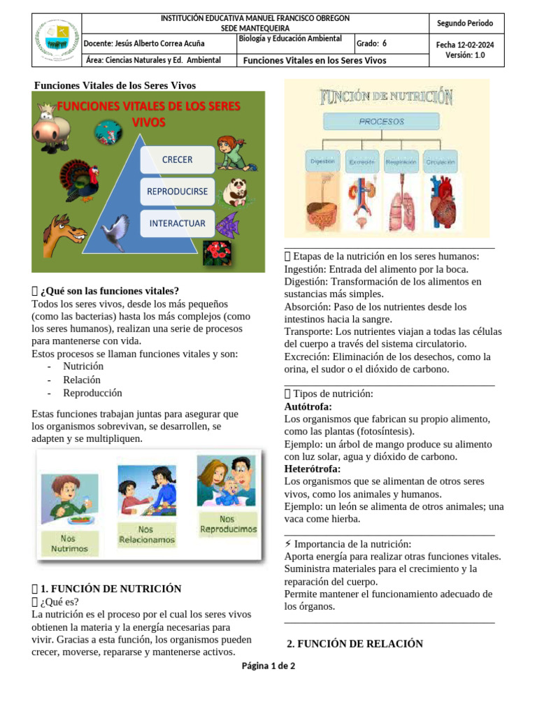 Funciones Vitales de los Seres Vivos | PDF | Organismos | Nutrición