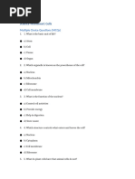Year 8 Energy Physics Workbook | PDF | Energy Development | Fuels