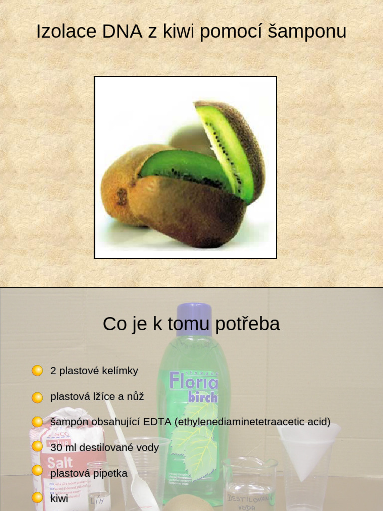 Izolace DNA Z Kiwi | PDF