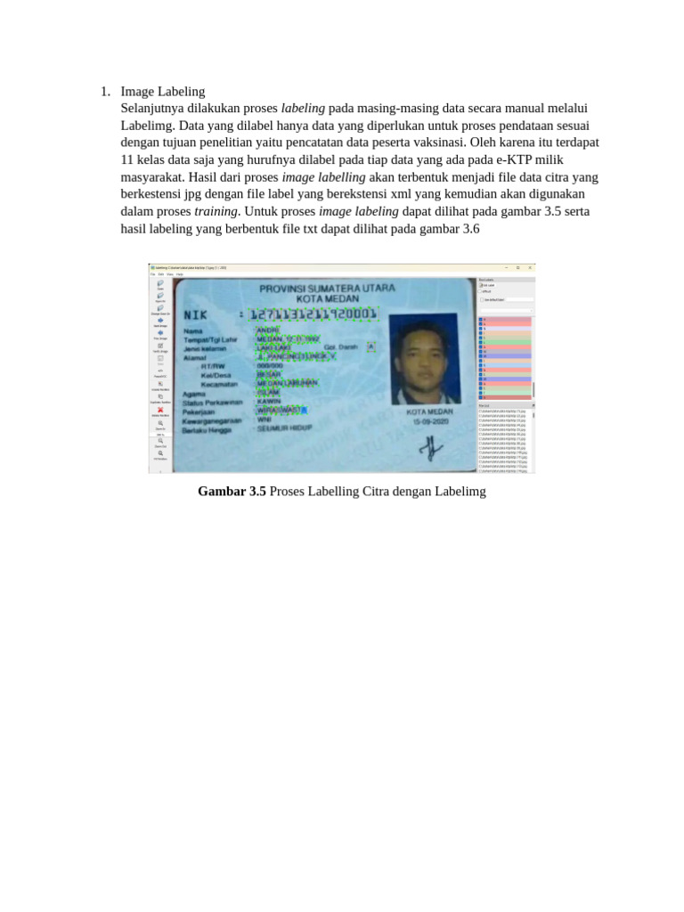 Image Labeling | PDF