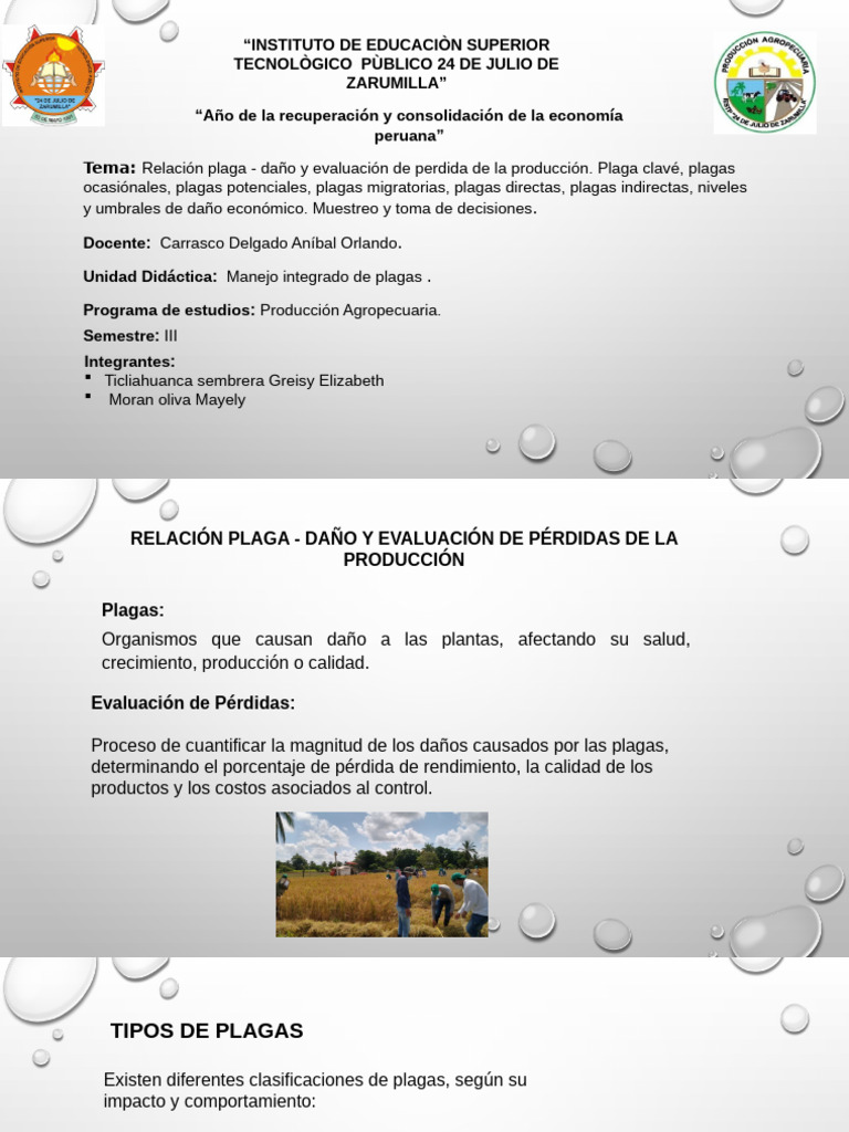 GREYSI | PDF | Plaga (organismo) | Agricultura