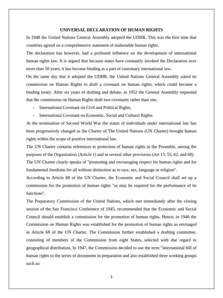 Universal Declaration of Human Rights | PDF | Human Rights | Libertarian Theory