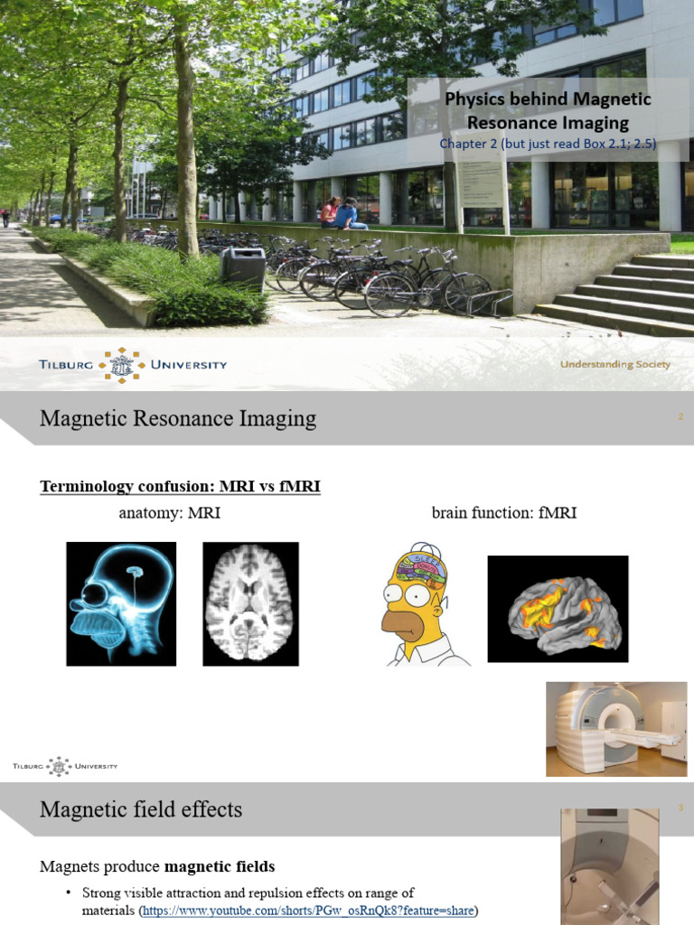 Structural Neuroimaging Pdf Magnetic Resonance Imaging Nuclear Magnetic Resonance