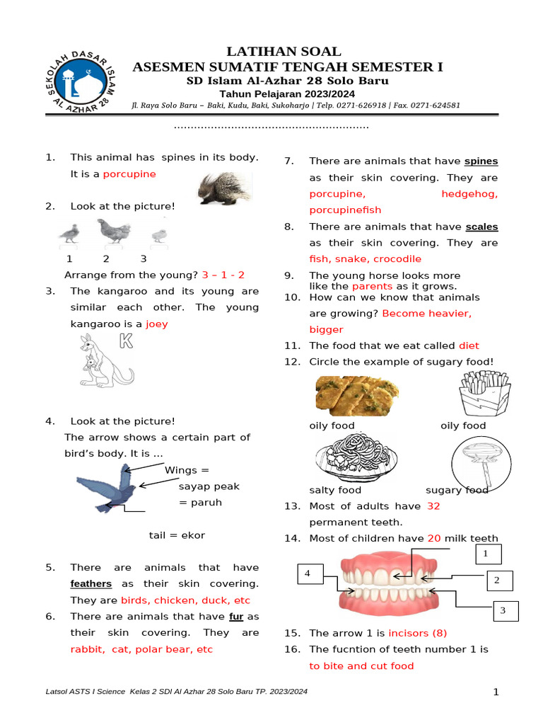 Science Assessment for Grade 2 Students | PDF | Tooth | Zoology