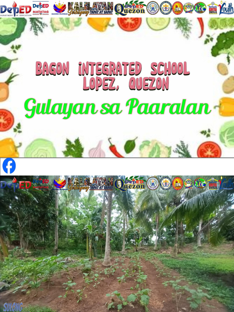 Bagon Integrated School | PDF
