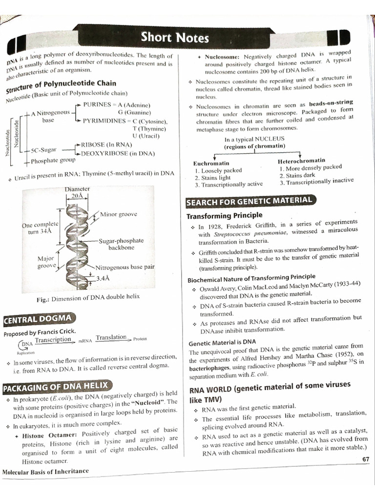 ch-2 Botany Module | PDF