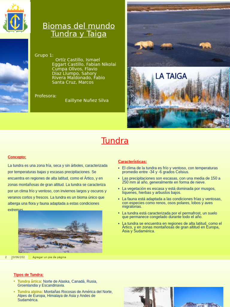 Tundra y Taiga | PDF | Ciencias de la Tierra | Geografía Física