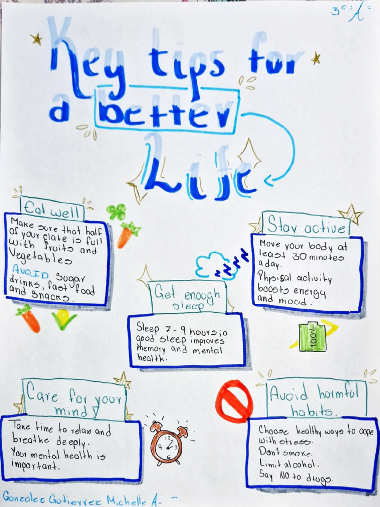 Infografia Michh | PDF