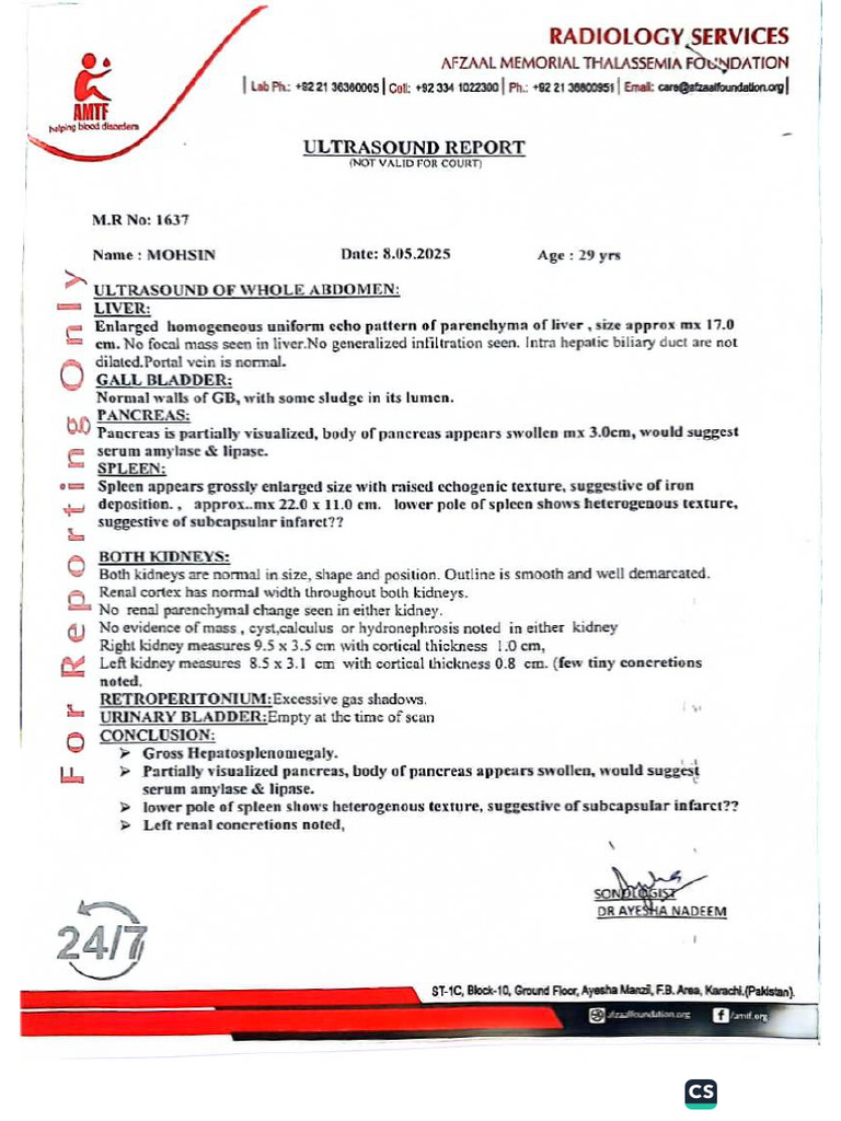 Ultrasound Report | PDF