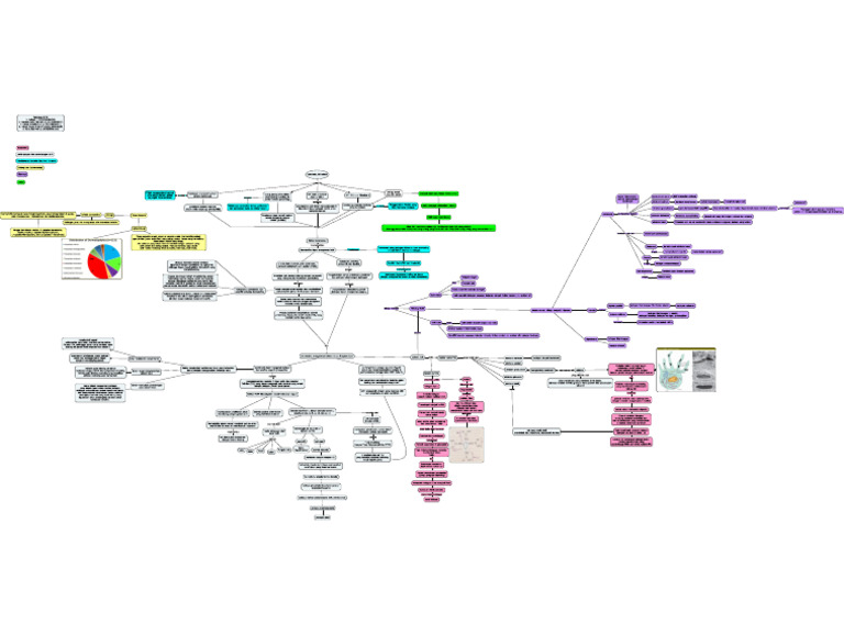Petkon Kel 3 p1 DV - Cmap | PDF
