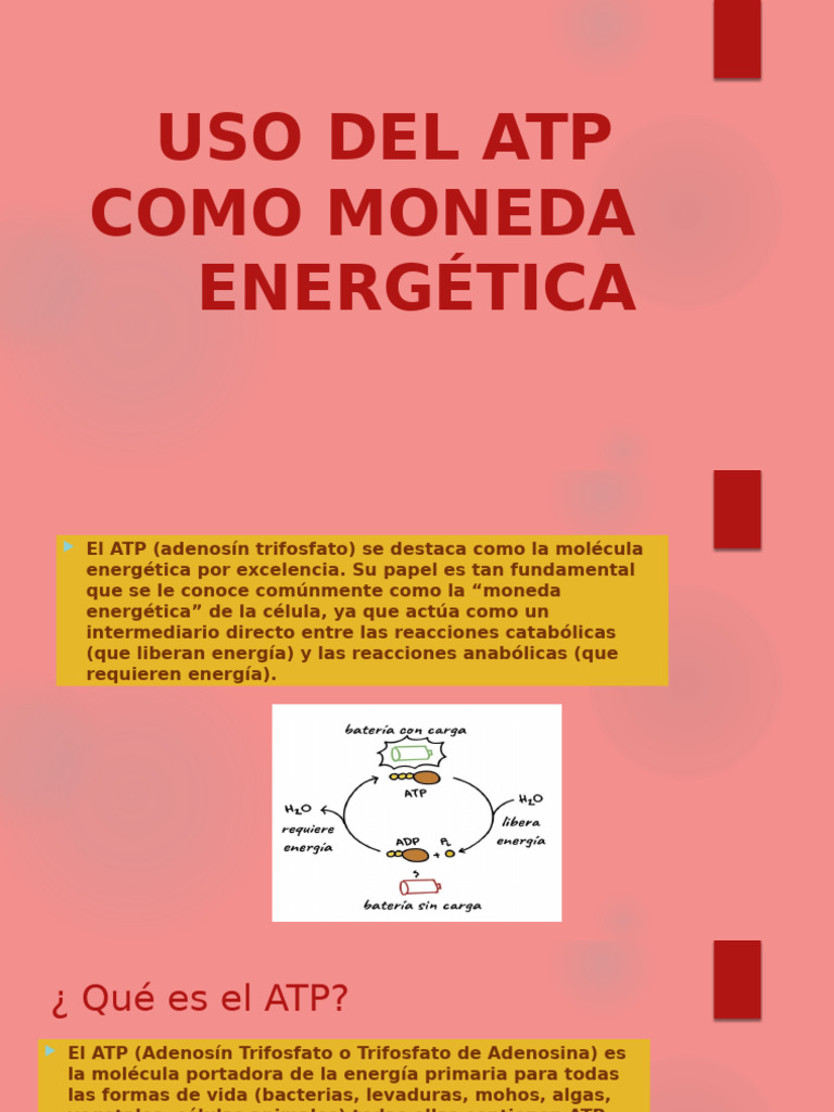 Uso Del Atp Como Moneda Energética | PDF | Trifosfato de adenosina ...