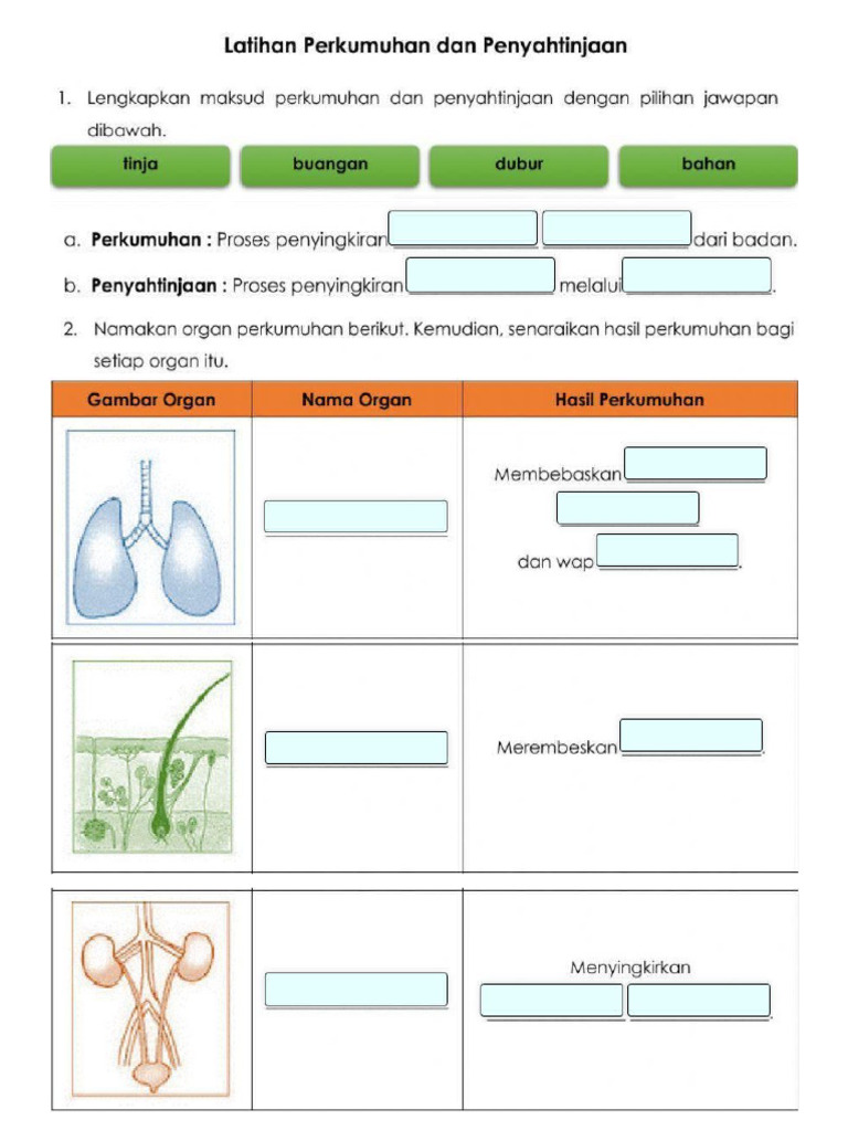 Perkumuhan Dan Penyahtinjaan | PDF