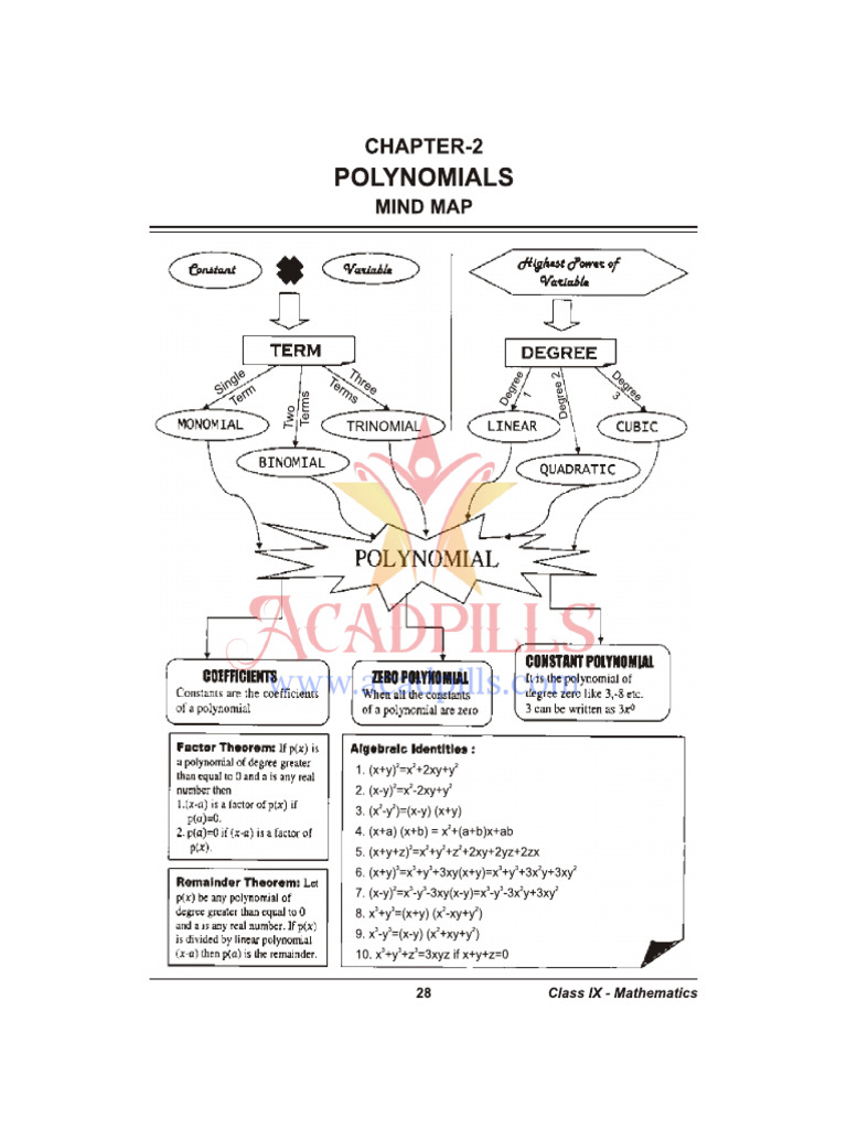 Polynomials Notes With Questions Pdf 8556