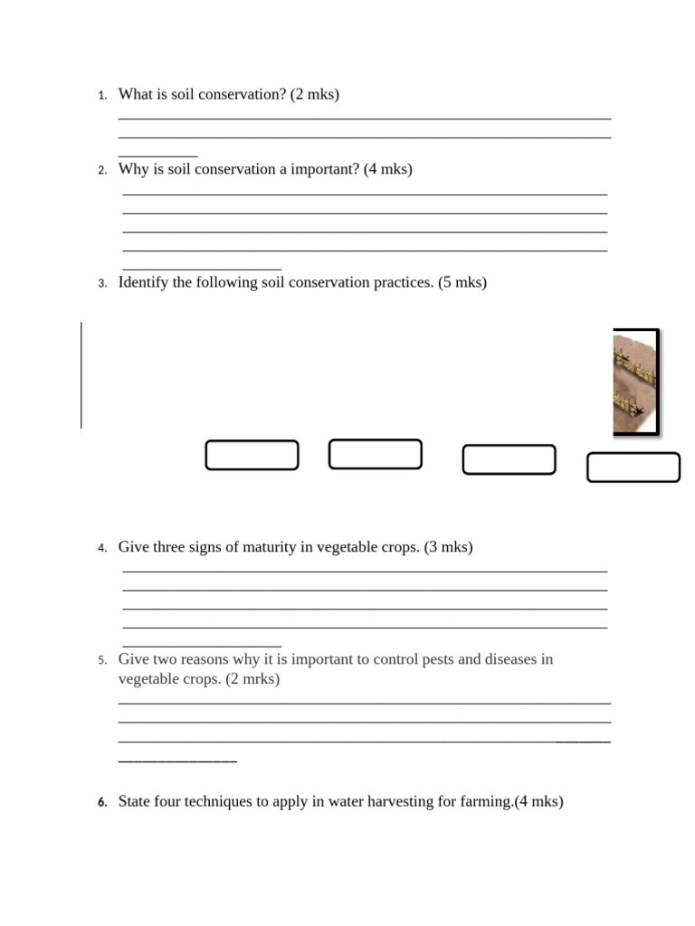 Soil Conservation and Vegetable Farming Guide | PDF | Vegetables ...
