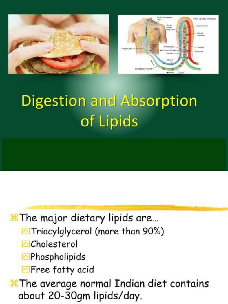 Digestion and Absorption of Lipids | PDF
