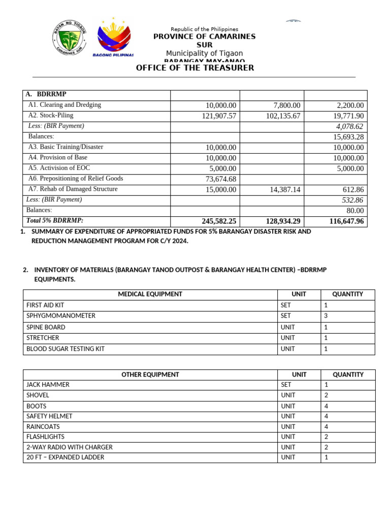 BDRRMP 2024 Inventory and Expenditure | PDF