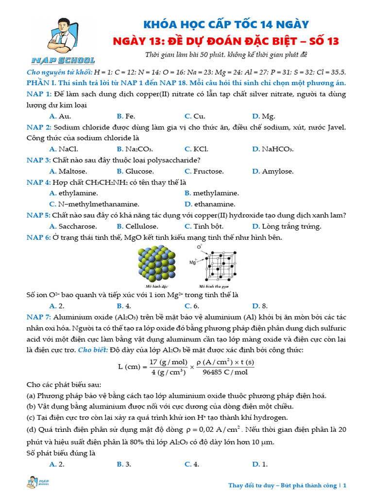 (Napschool) - Khóa 14N - ĐỀ DỰ ĐOÁN ĐẶC BIỆT - SỐ 13 - Ngày 17.06.2025 | PDF