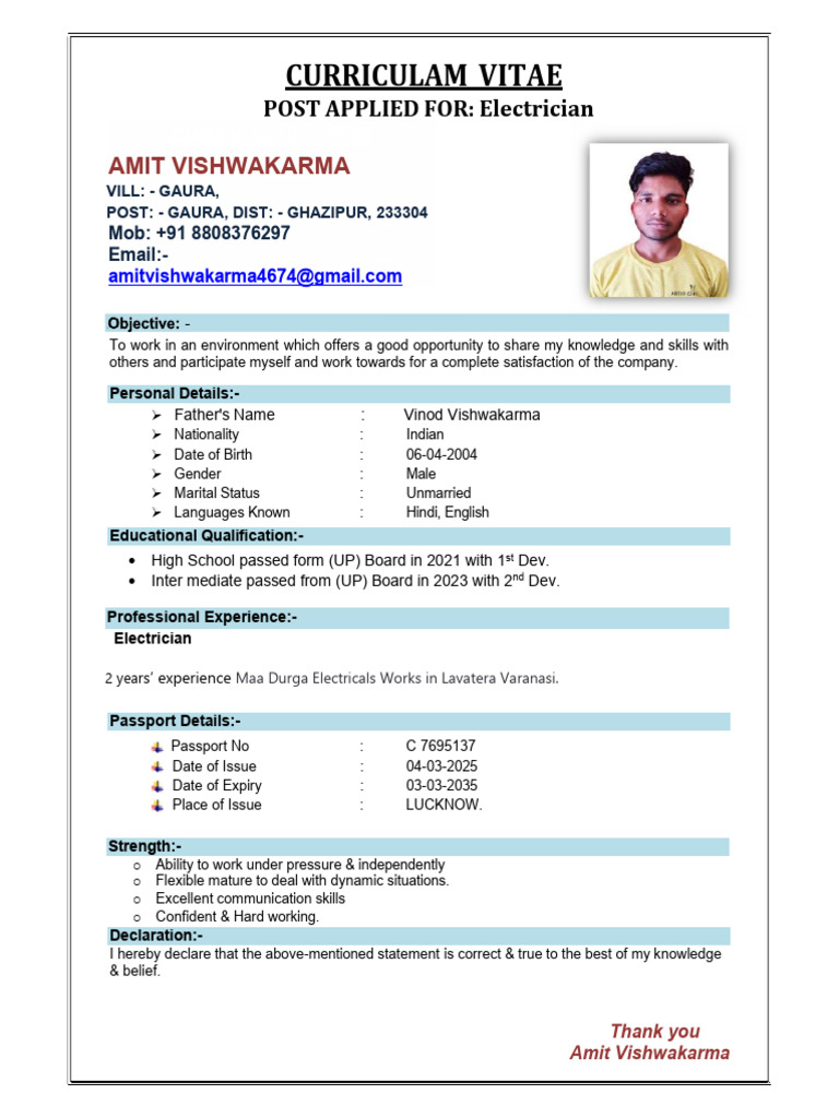 Amit - CV - For EL | PDF