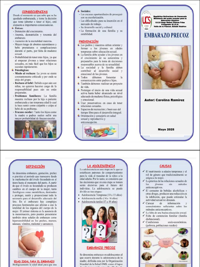 Triptico Embarazo Precoz | PDF