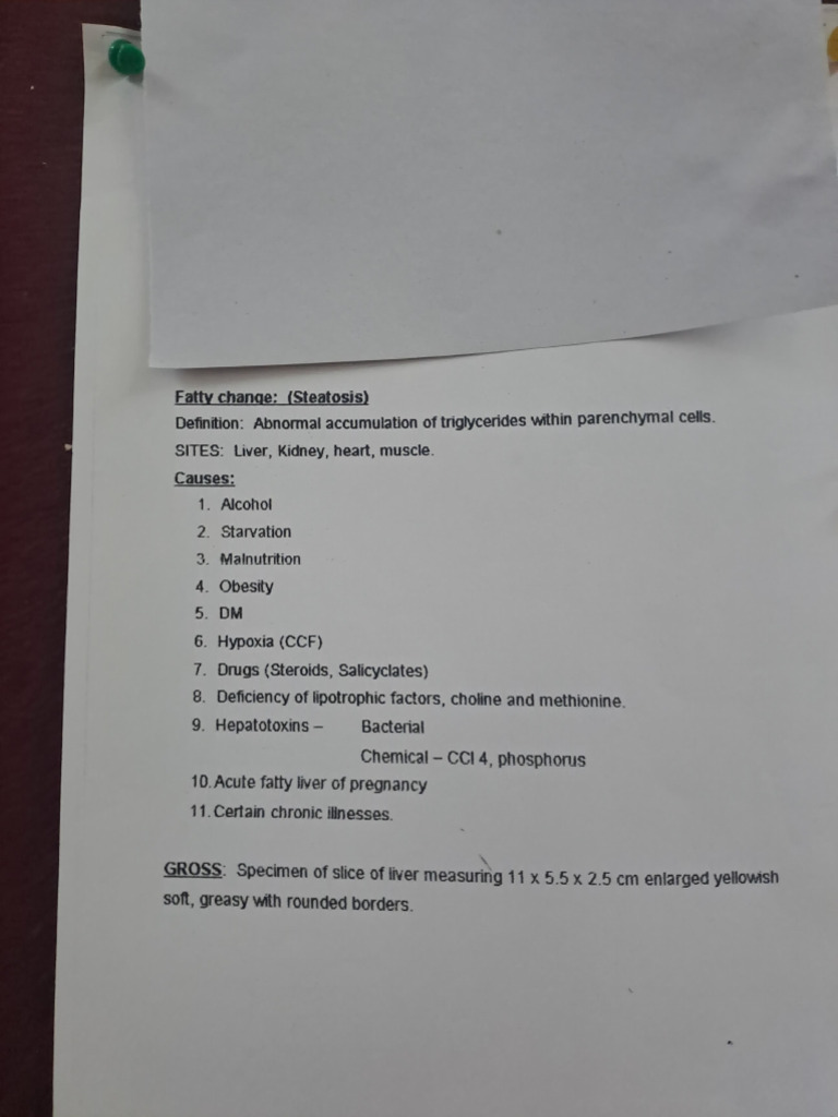 Lft+Liver Abscess | PDF