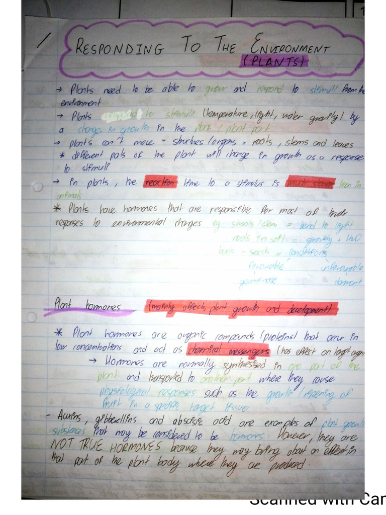 Plants Notes (Responding To The Environment) | PDF