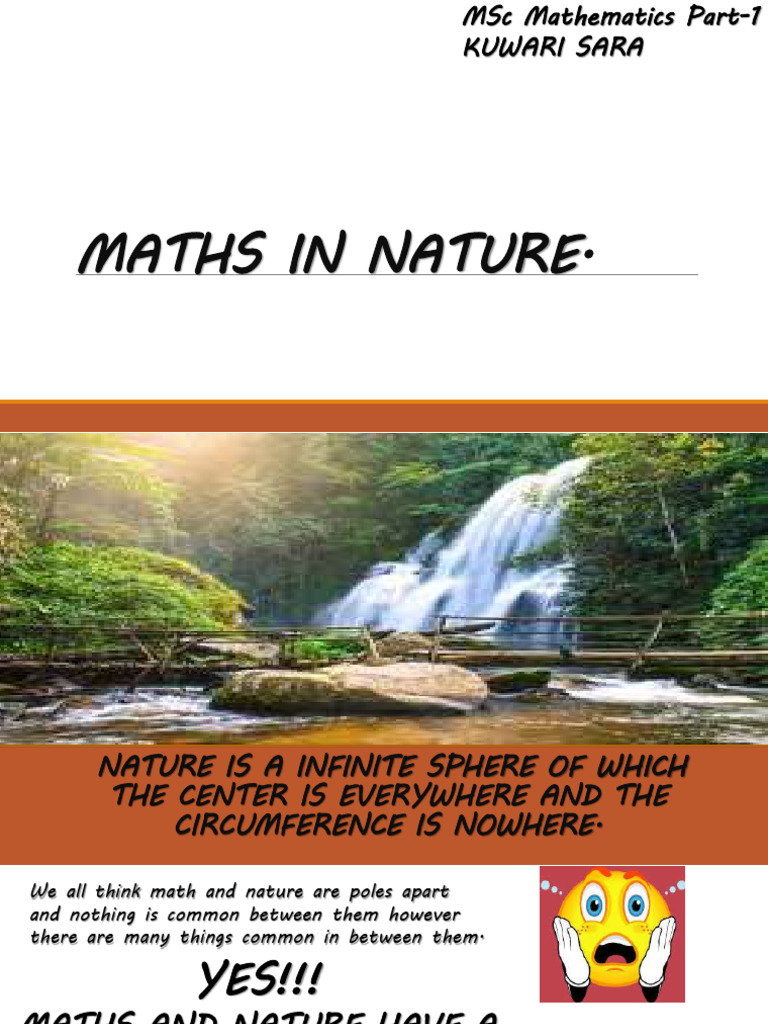 Mathsinnature Sara Mathematics | PDF | Pattern | Fractal