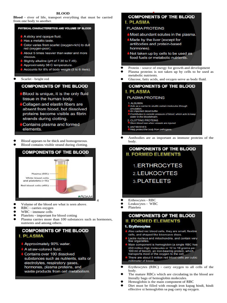 Blood Lecture BSN-1 Anaphy | PDF | White Blood Cell | Red Blood Cell