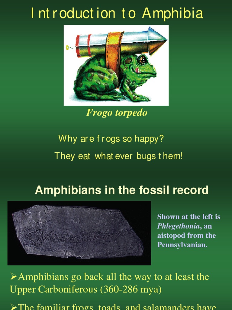 Amphibian Evolution | PDF | Amphibian | Fish