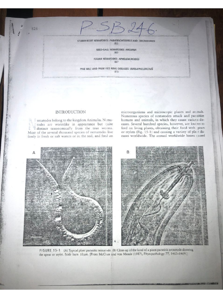 Prof Onyeke PSB 246 Plant Parasitic Nematode | PDF