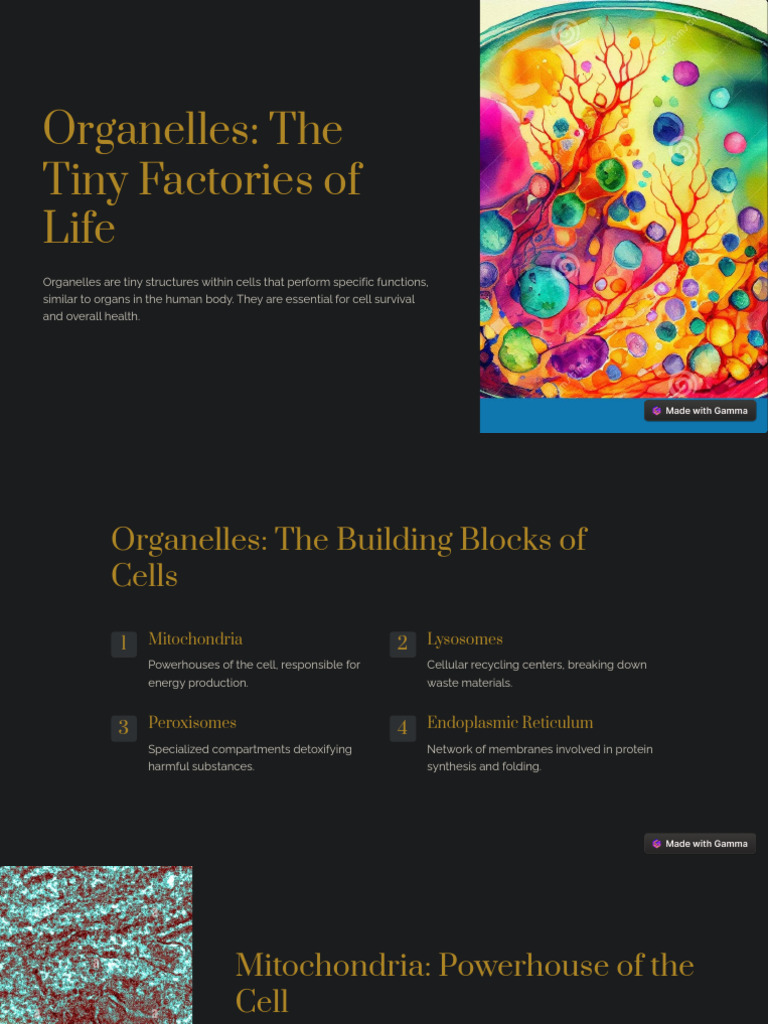 Essential Functions of Cell Organelles | PDF | Mitochondrion ...