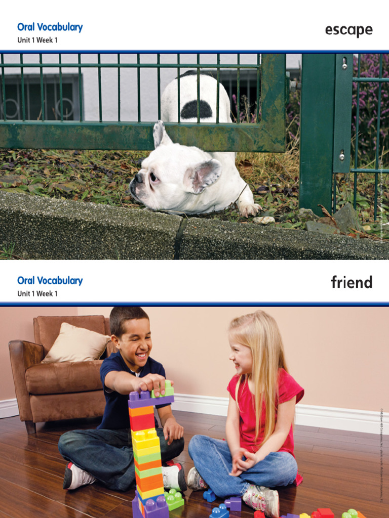 GK Oral Vocabuary Card | PDF