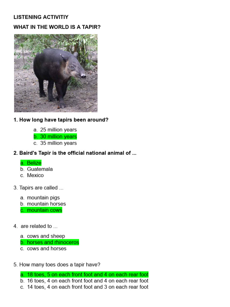 Listen Activity 2 Yoan Alvarez | PDF