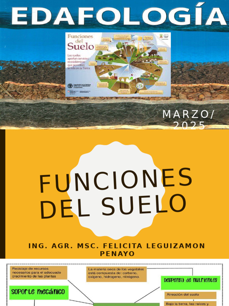 Unidad II Funciones Del Suelo. Edafologia | PDF | Suelo | Ecología