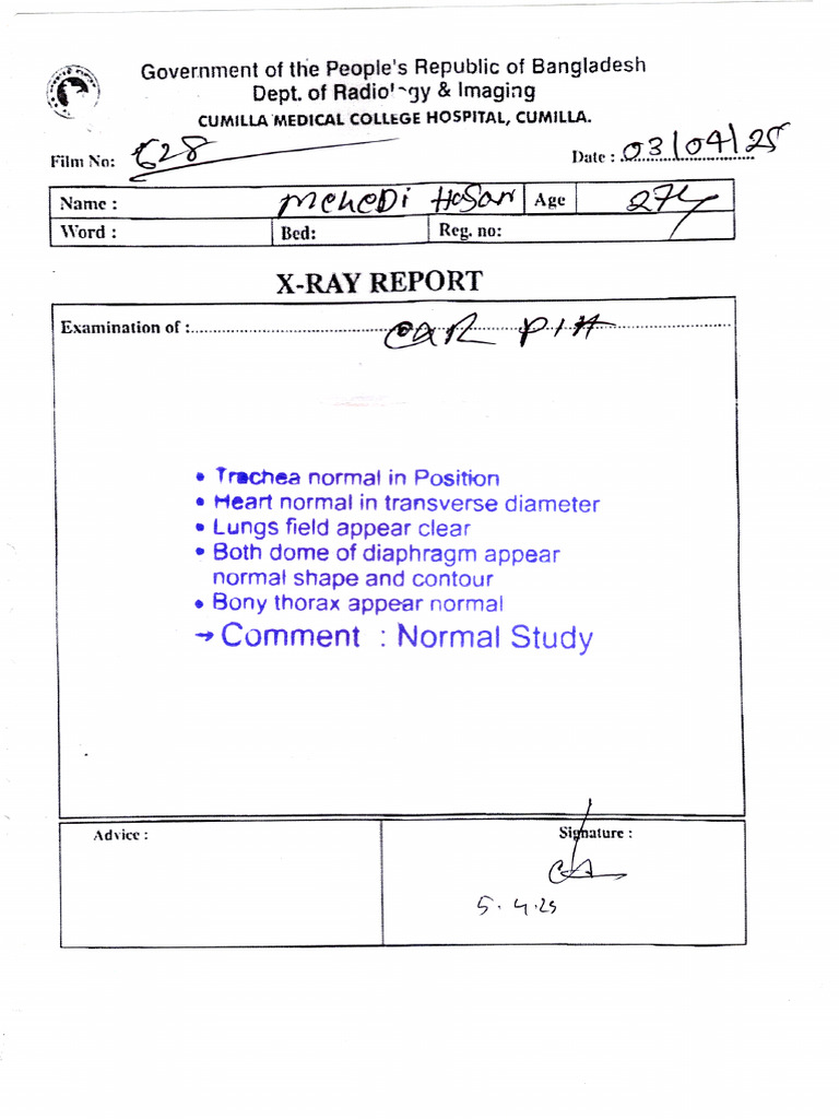 X Ray Report | PDF