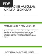 PROTOCOLO EVALUACIÓN FUERZA MUSCULAR - Escala Medical Research Council ...