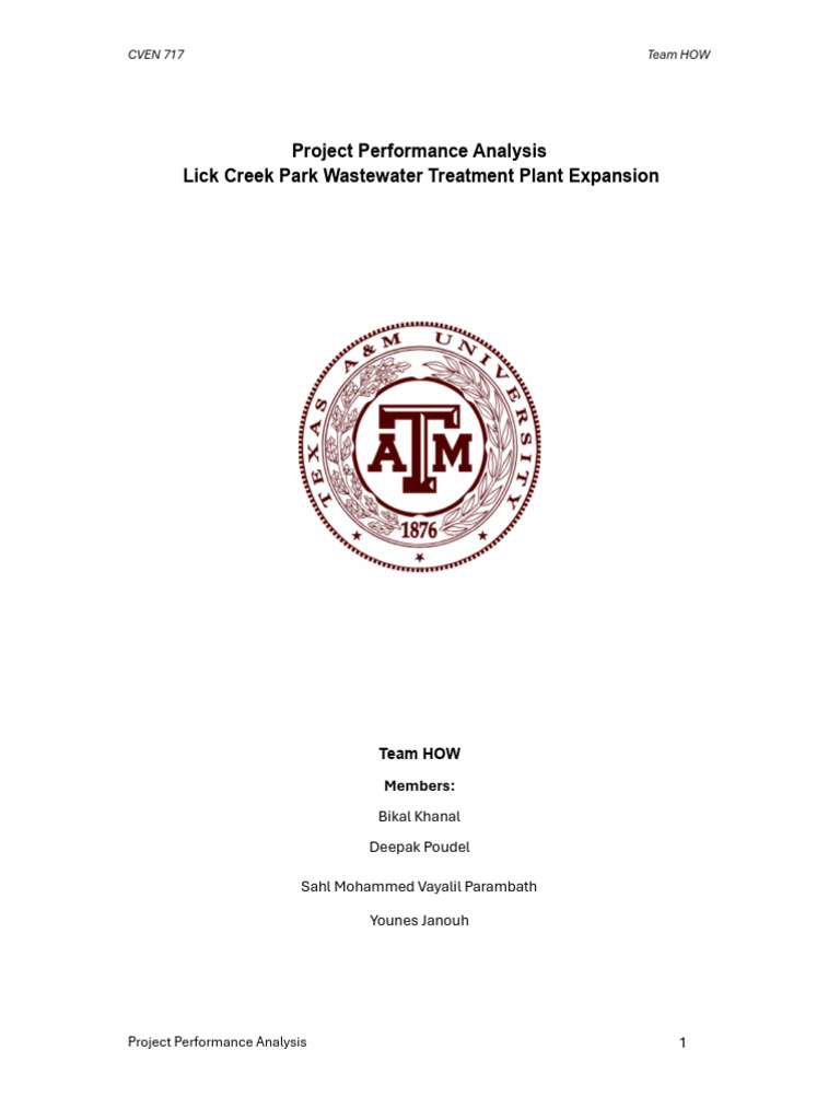 Project Performance Analysis Assignment - Team How | PDF | Consumer ...