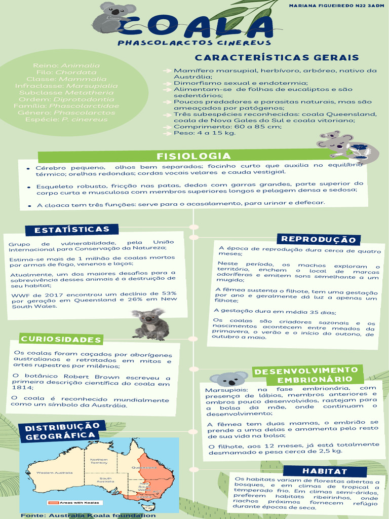 Infografico de Biologia (Coala) | PDF | Coala | Zoologia