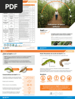 Ficha Tecnica Bingo SG | PDF | Insecticida | Agua