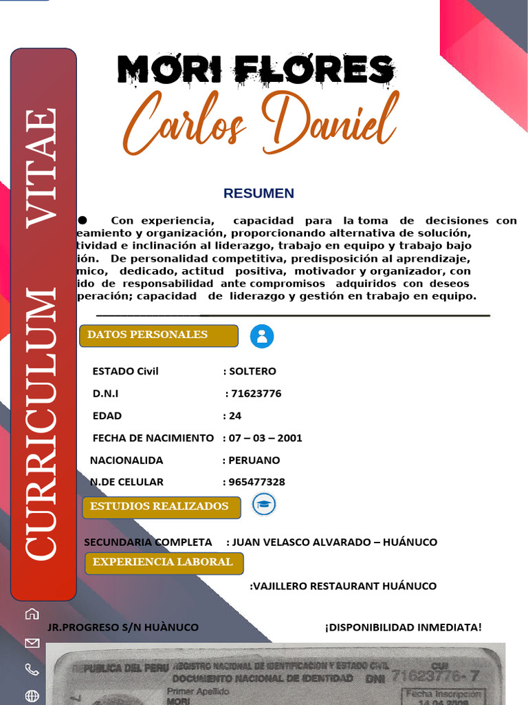 CV Carlos | PDF