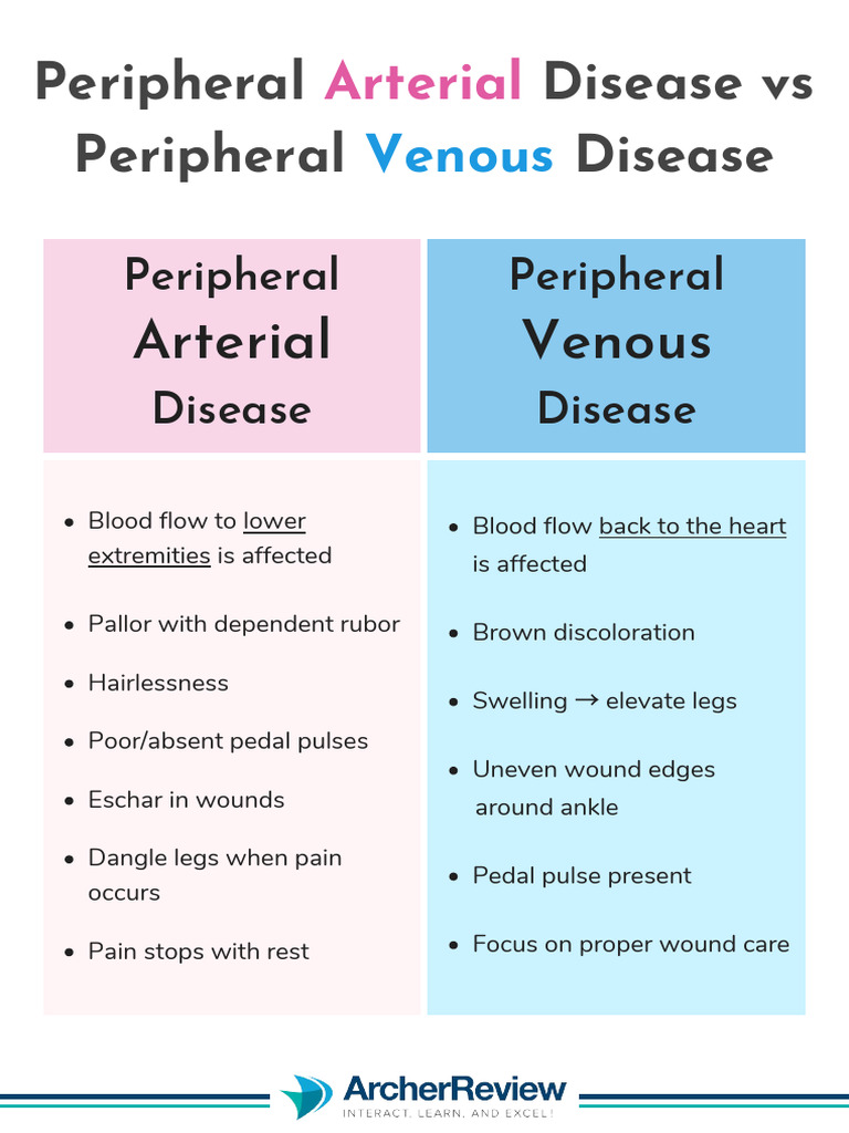 PAD Vs PVD | PDF