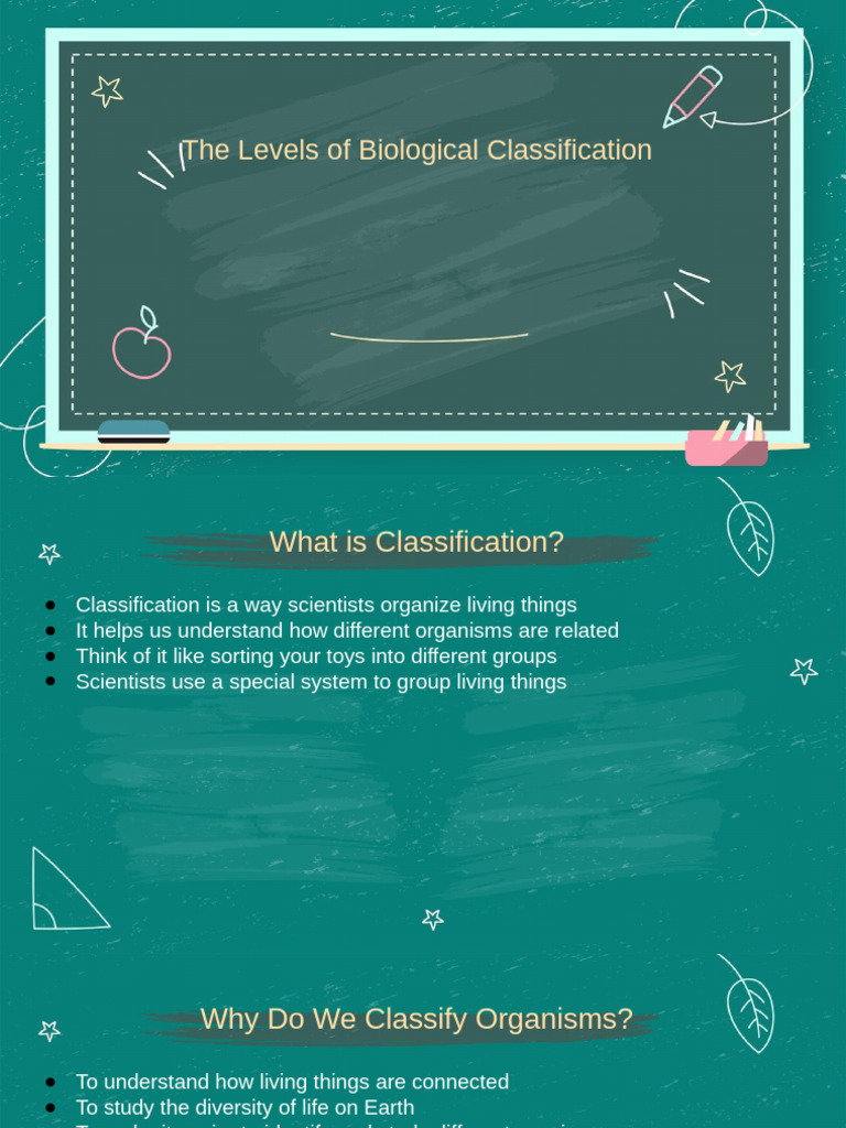 Levels of Classification | PDF