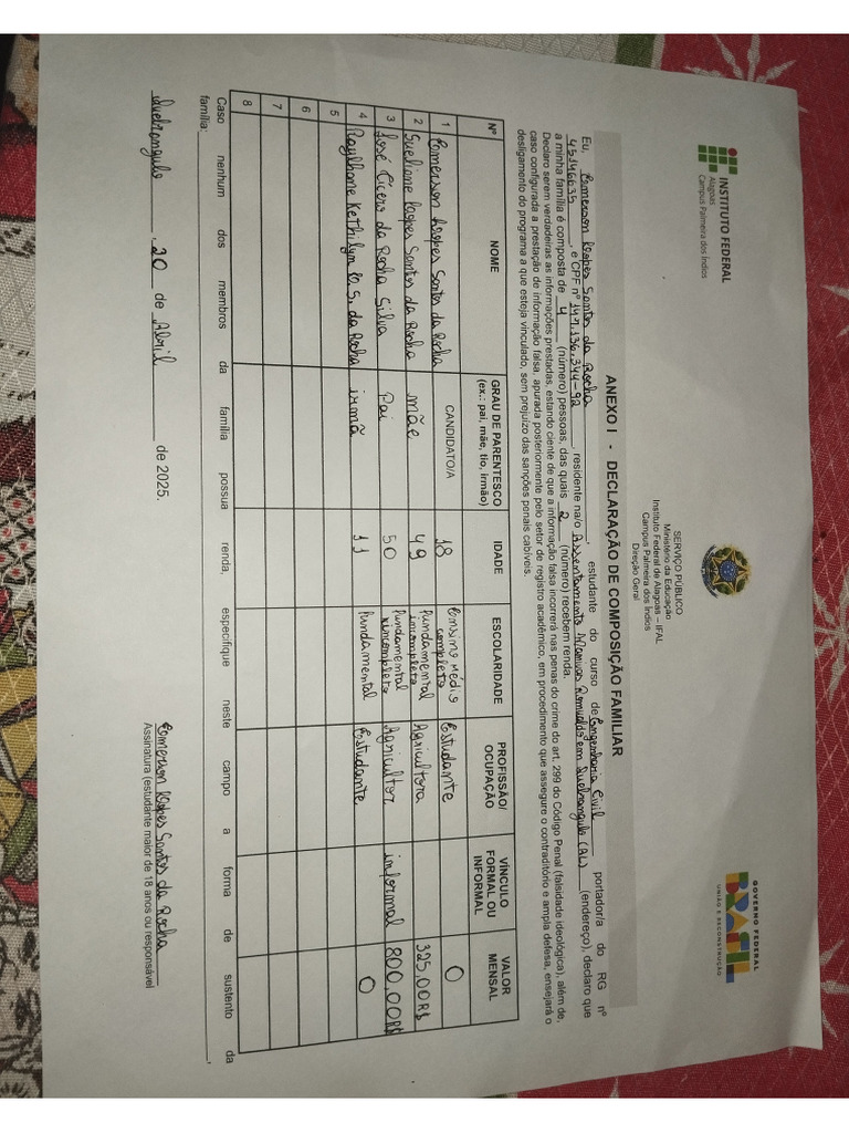 Anexos Emerson | PDF