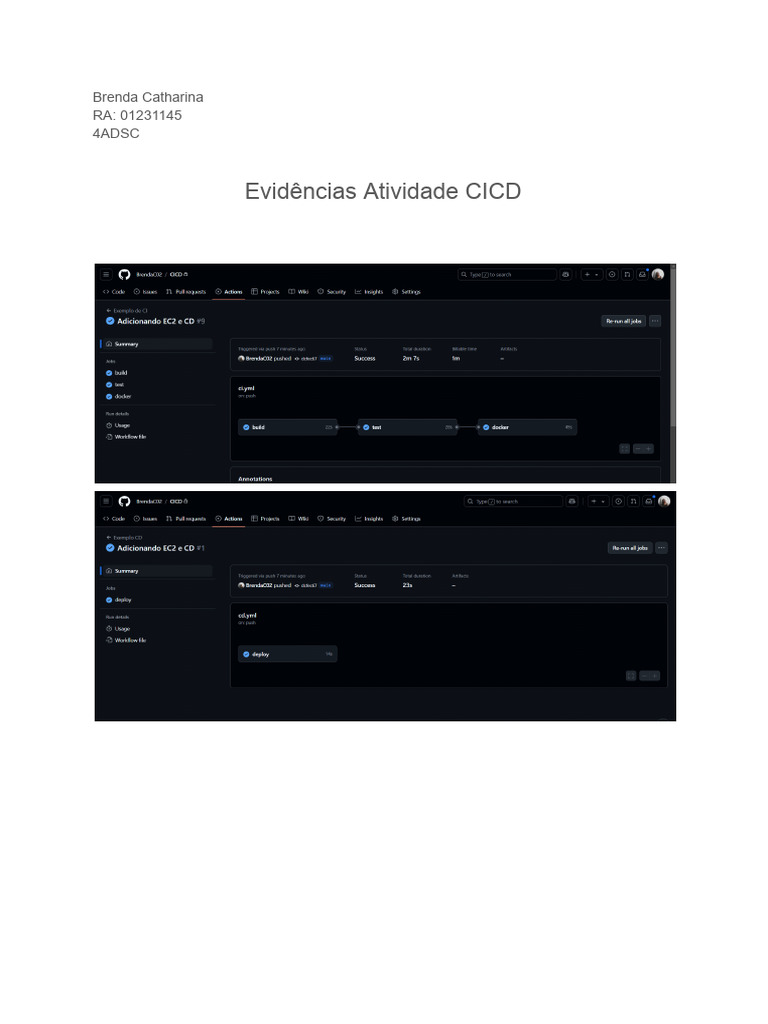 Atividade CICD | PDF