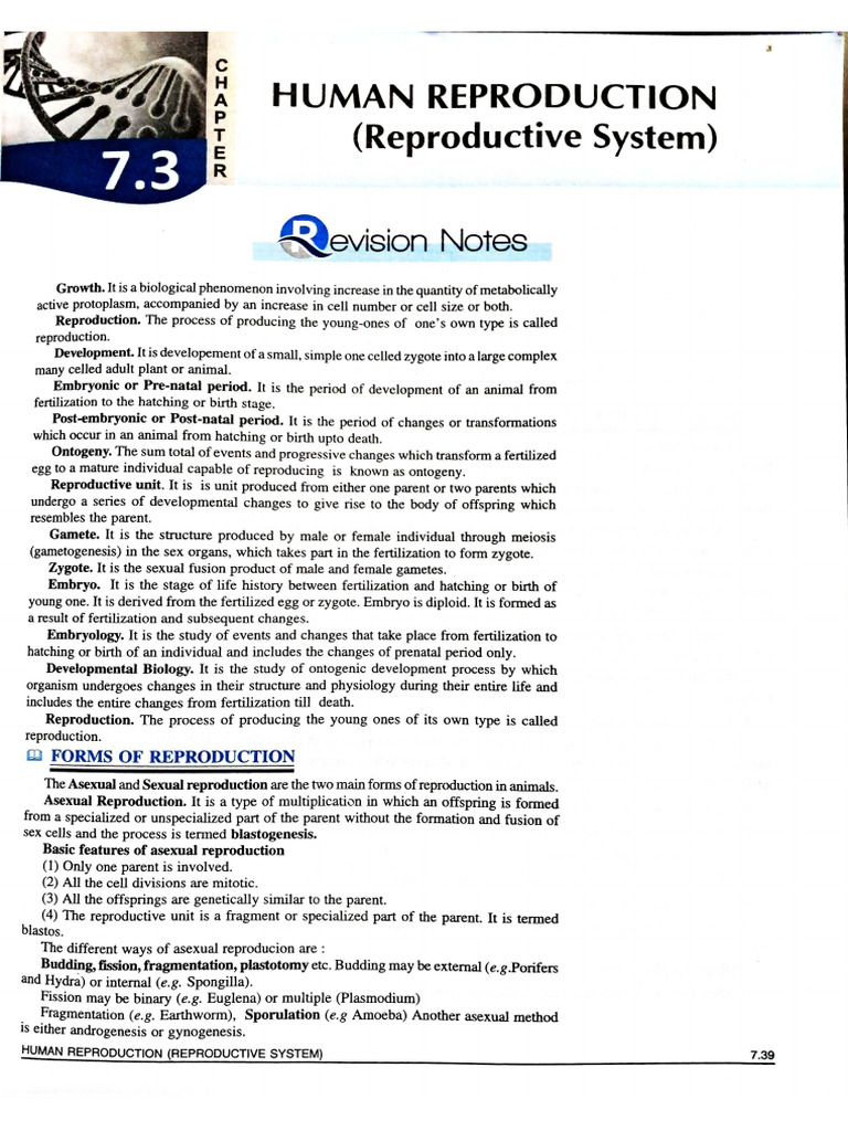 Objective Neet Bio Reproductive System | PDF