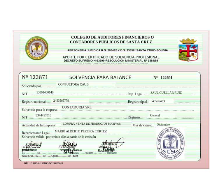 Solvencia para Balance Com-200-1 | PDF