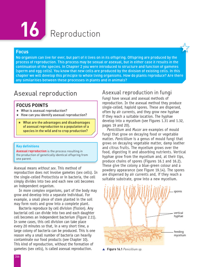 Unit 16 Reproduction | PDF | Sexual Reproduction | Flowers