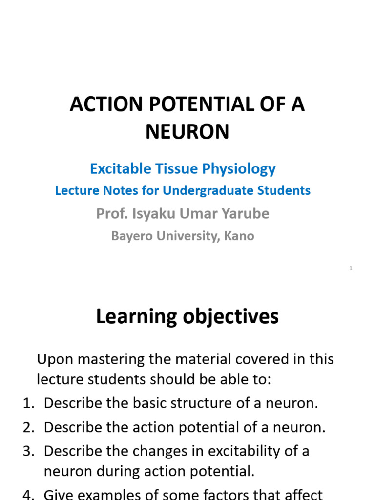 Action Potential of A Neuron | PDF | Neuron | Action Potential