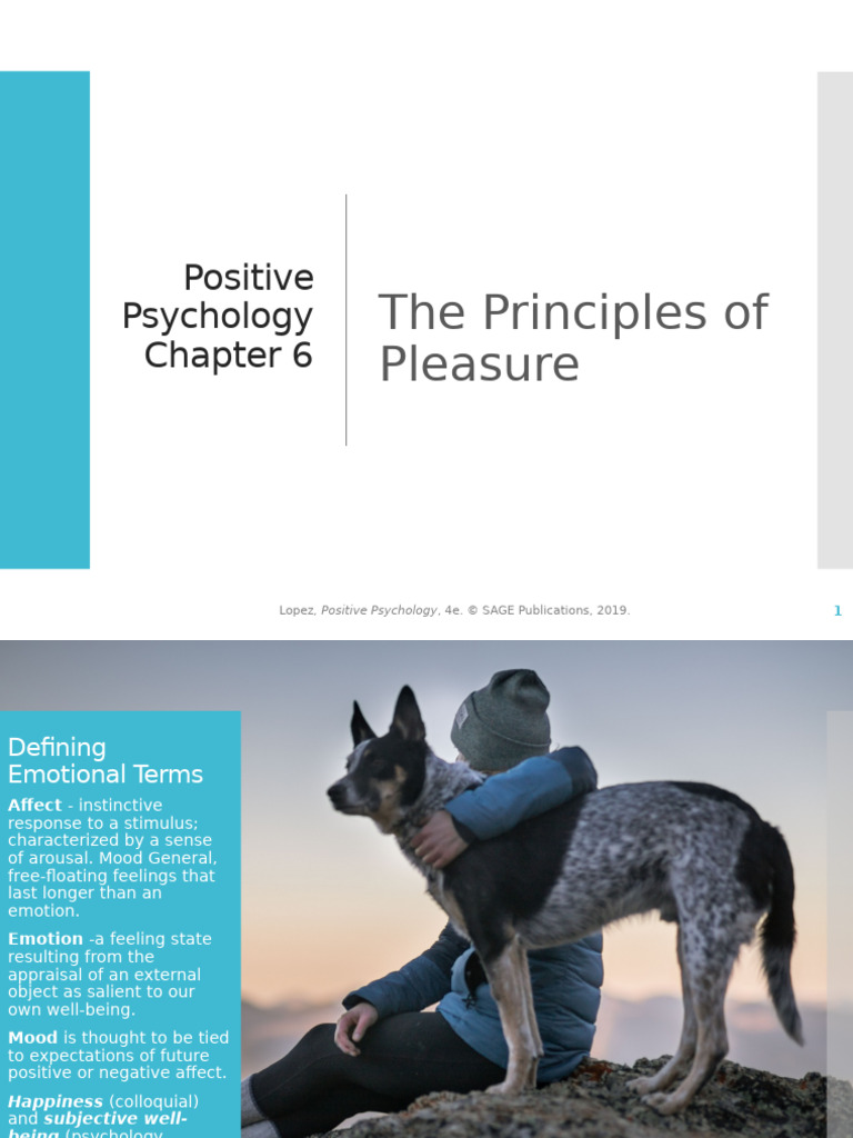 Positive Psychology Chapter 6 | PDF | Emotions | Well Being